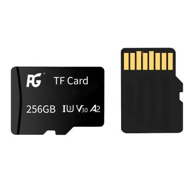 China Carta SD di memoria 256 GB per Smart Watch e Registratore di guida V30 Classe velocità video Materiale di plastica resistente for sale