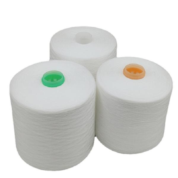 20/2 40/2 60/2 80/2 Yizheng Fiber Raw White 100% Polyester Ring Spun Yarn Price