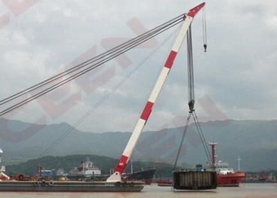 Cina 180Ton/300Ton WD350 che orzano l'albero Crane/gru galleggiante per il sollevamento resistente in vendita