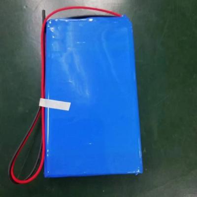 China 3.7V 10Ah Polymer Battery Pack 37Wh 5A Rate 6767100-1C 1S2P For Tracking Device for sale