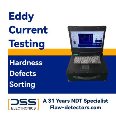 China High Precision Eddy Current Sorting Instrument High Speed Intelligent Digital Sorting Instrument for sale