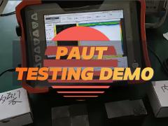 超音波検出器 DSS-PAUT28