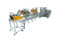 China 2.5KW Horizontal Packing Machine Pillow Type GL-W350 Automatic Packaging Machine for sale