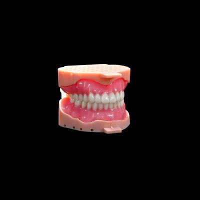 China Digital Complete Removable Denture Removable Partial Prosthodontics for sale