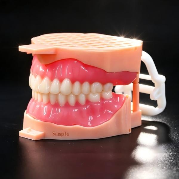 Quality Lucitone 199 Full Denture Light Pink Full Removable Dentures for sale