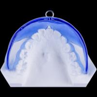 China Vestibular Shield for sale