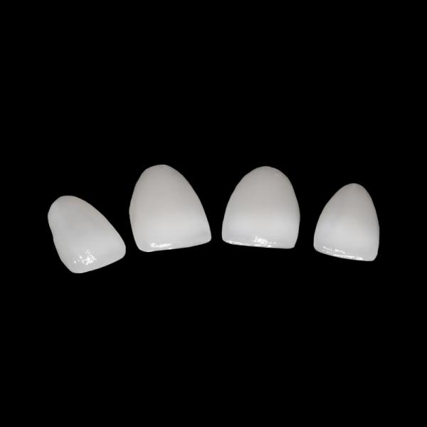 Quality CAD/CAM Porcelain Fused To Zirconia Bridge For Natural Looking Restoration for sale
