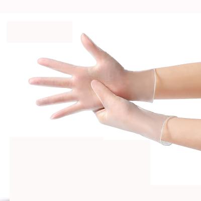 Cina Guanti puliti del PVC di ispezione degli alimenti della famiglia della cucina eliminabili in vendita