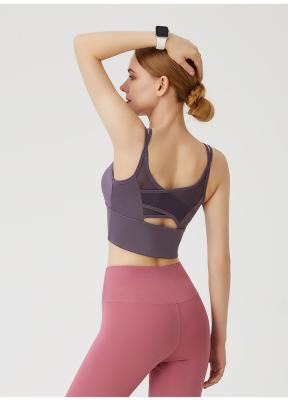 Cina Porpora solida riempita canottiera sportiva senza cuciture XL XXL del reggiseno di yoga in vendita