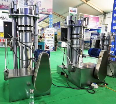 Cina 24 kg/h di noce dell'olio della stampa della macchina di elaborazione fredda dell'olio su scala ridotta in vendita