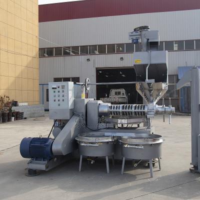 China Dispositivo frio automático da extração do óleo da máquina de processamento do óleo à venda