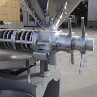 China Automatic Cooking Oil Processing Machine Cold Oil Extraction Device for sale