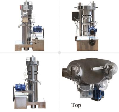 China Cold Press Machine Automatic Palm Oil Processing Machine Extraction Machine For Herb for sale