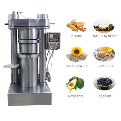 Cina Pressatrice idraulica automatica per olio 60-100 Kg/h Capacità 0-60MPa Intervallo di pressione 2,2 Kw Potenza in vendita