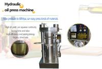 China Hydraulic Pressing Castor Oil Extraction Machine , Small Oil Expeller ISO Certification for sale
