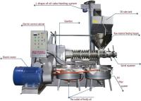 China Steel Screw Oil Press Machine , Fully Automatic Oil Processing Equipment for sale