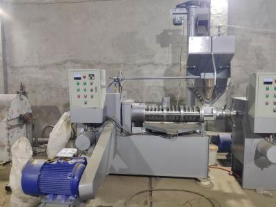 China 220-450 Kg/H Screw Oil Press Machine For Sunflower Seed Sesame Olive à venda