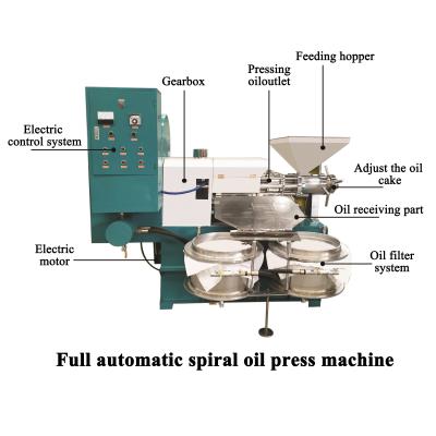 China Koude van de het Zaadolie van de Pers Automatische Pinda de Extractiemachine voor Eetbare Olie Te koop