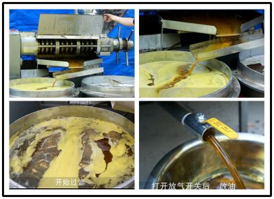 Cina Della stampa del girasole di estrazione dell'olio di capacità delle macchine 220 - 450 kg/h freddo in vendita