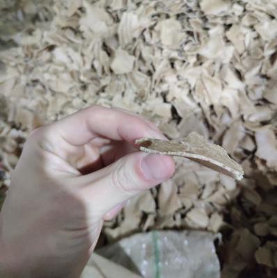 Cina Olio da tavola commerciale che fa torchio a vite a macchina per estrazione dell'olio in vendita