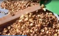 China 2.2kw Power Vibrating Screen Machine Nut Shelling Machine ISO Certification for sale