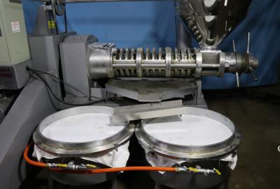 Cina Olio da cucina della larga scala del modello 6YL-180 che fa estrazione fredda a macchina in vendita