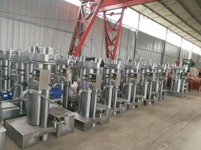 Cina Macchina della stampa di olio idraulico del girasole 23kg/Batch 3kw in vendita