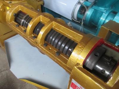 Cina Alta vite di tasso dell'olio che produce olio vegetale premere macchina senza sistema del filtro in vendita