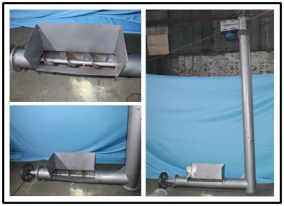Cina Senape automatica del seme di ravizzone della noce di cocco della soia dell'arachide della macchina della stampa di olio della vite in vendita