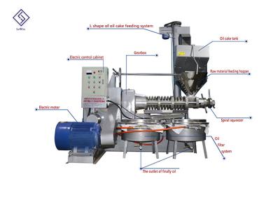 Cina Olio Presser della vite del girasole del filtro a depressione 30kw 450Kg/H in vendita