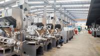 China Straight Squeezer Screw Oil Press Machine With Vacuum Filter System for sale