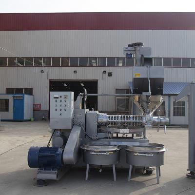 Cina 300-600 alta macchina della stampa di olio della vite dello sbocco dell'olio di kg/h per senape in vendita