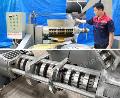 China Mustard Seed Screw Oil Presser for sale
