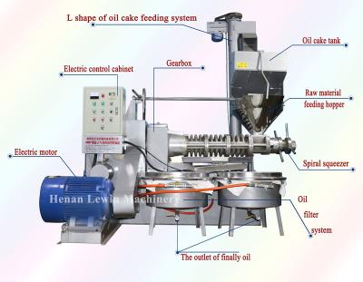 China Mustard Seed Screw Oil Presser for sale
