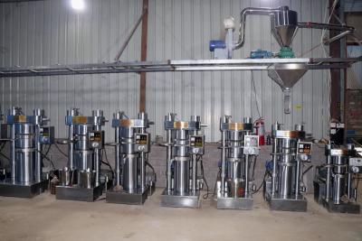 China 1.1 KW Avocado Oil Press Machine 60 Mpa For Small Business Shea Butter for sale