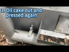 cold press sesame oil