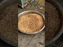 6YL-290 screw oil press machine pressing peanut oil