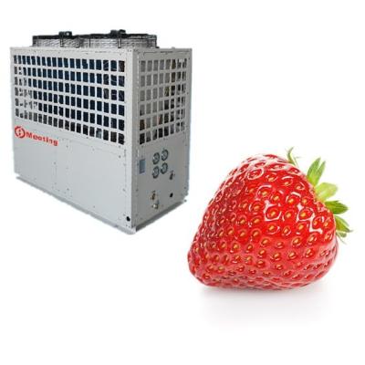 China 29KW Large Glass Agricultural Electric Greenhouse Heater For Better Growth Of Strawberry Tomato Seed for sale