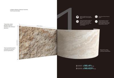 중국 OEM 주문용 친환경 건축물용 거친 석재 마감의 건축 BIPV 태양광 패널 판매용