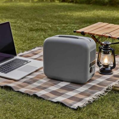 China Single Cell 1kWh Micro Solar Energy Power Station LiFePO4 Battery 300W Output for sale