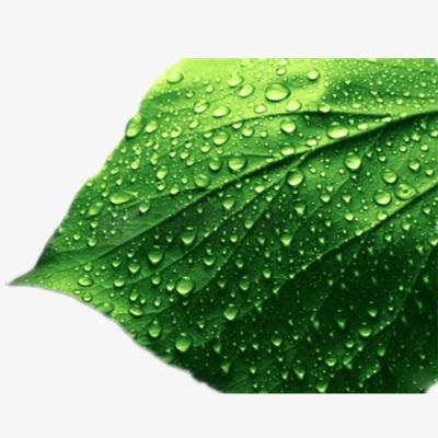 中国 SURFADOL® DF-75のアセチレンのグリコールは水上に浮かんだコーティングのための黄色い液体を取り除く 販売のため