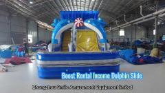 Commercial Dolphin Inflatable Water Slide for Party Rentals