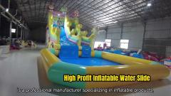 Commercial Inflatable Water Slide for Party Rentals