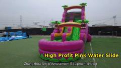 Commercial Pink Tropical Water Slide for Party Rentals