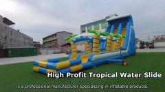 Commercial Tropical Dual Lane Water Slide for Rental Biz