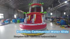 Commercial Tropical Water Slide Grey Marble Design