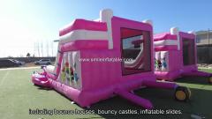 Pink Cartoon Cat Inflatable Bouncer Slide and Pool