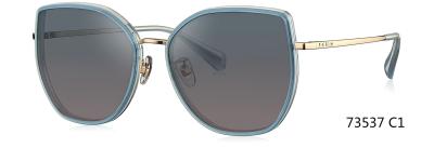 Cina Sport UV di plastica Sunglassess #73537 B1/C1/S1 delle donne degli uomini di protezione di PA Lense delle strutture di qualità di PARIM in vendita