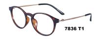 China Lightweight Optical Metal Eyeglasses Frames Plastic Optical Big Round Eye Frames for sale