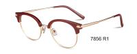 China Half Plastic Wearable Optical Eyeglass Frames Hydrolysis Resistance for sale